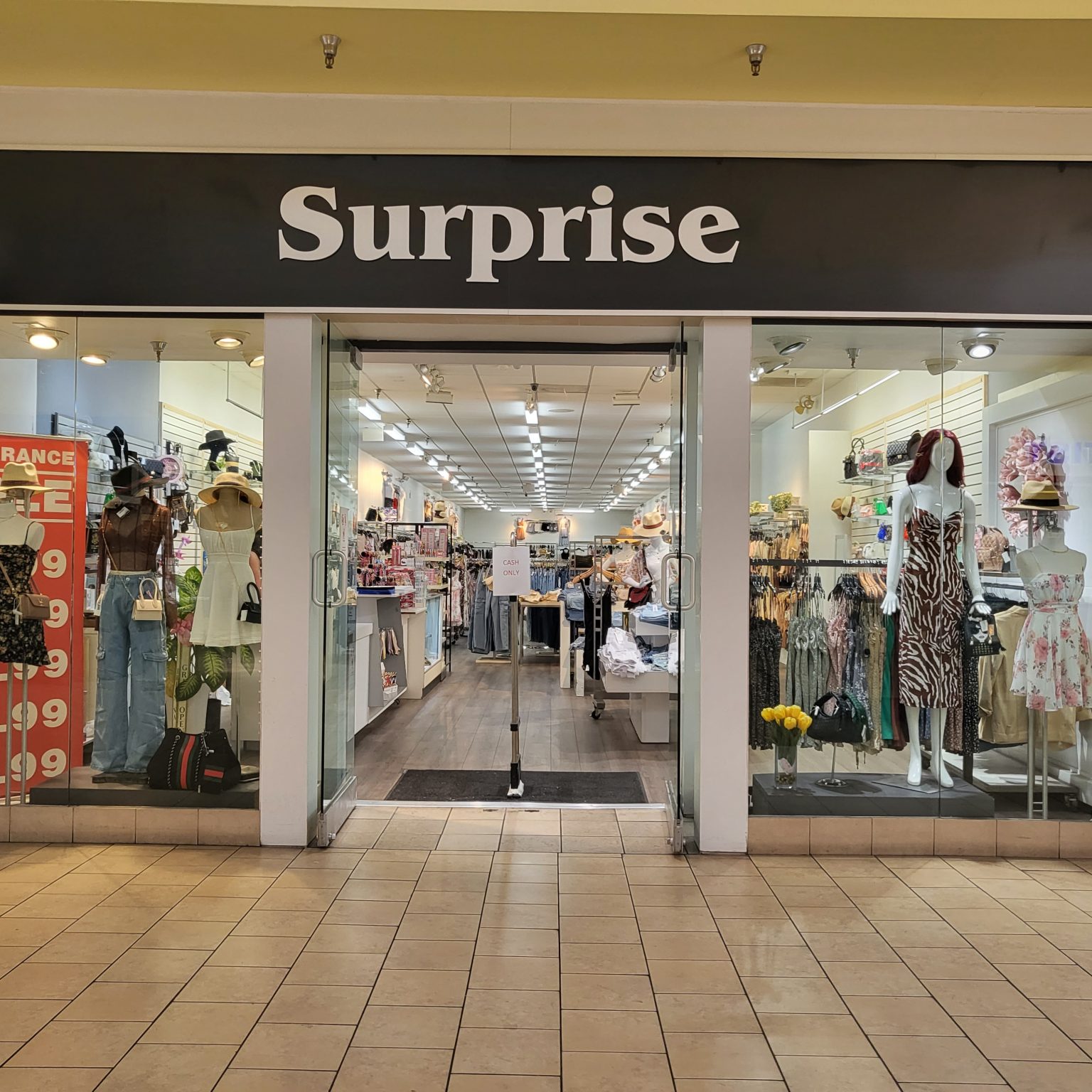 SURPRISE – Panorama Mall
